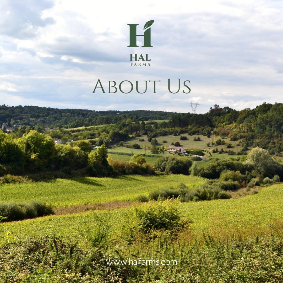 Halfarms - Every Produce Matters